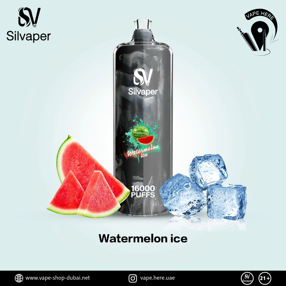 Silvaper Rocket Shisha 16000 Puffs Disposable Vape DTL 3mg | Shisha ...